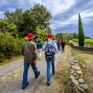 Syndicat du Cru Minervois - AOP Minervois